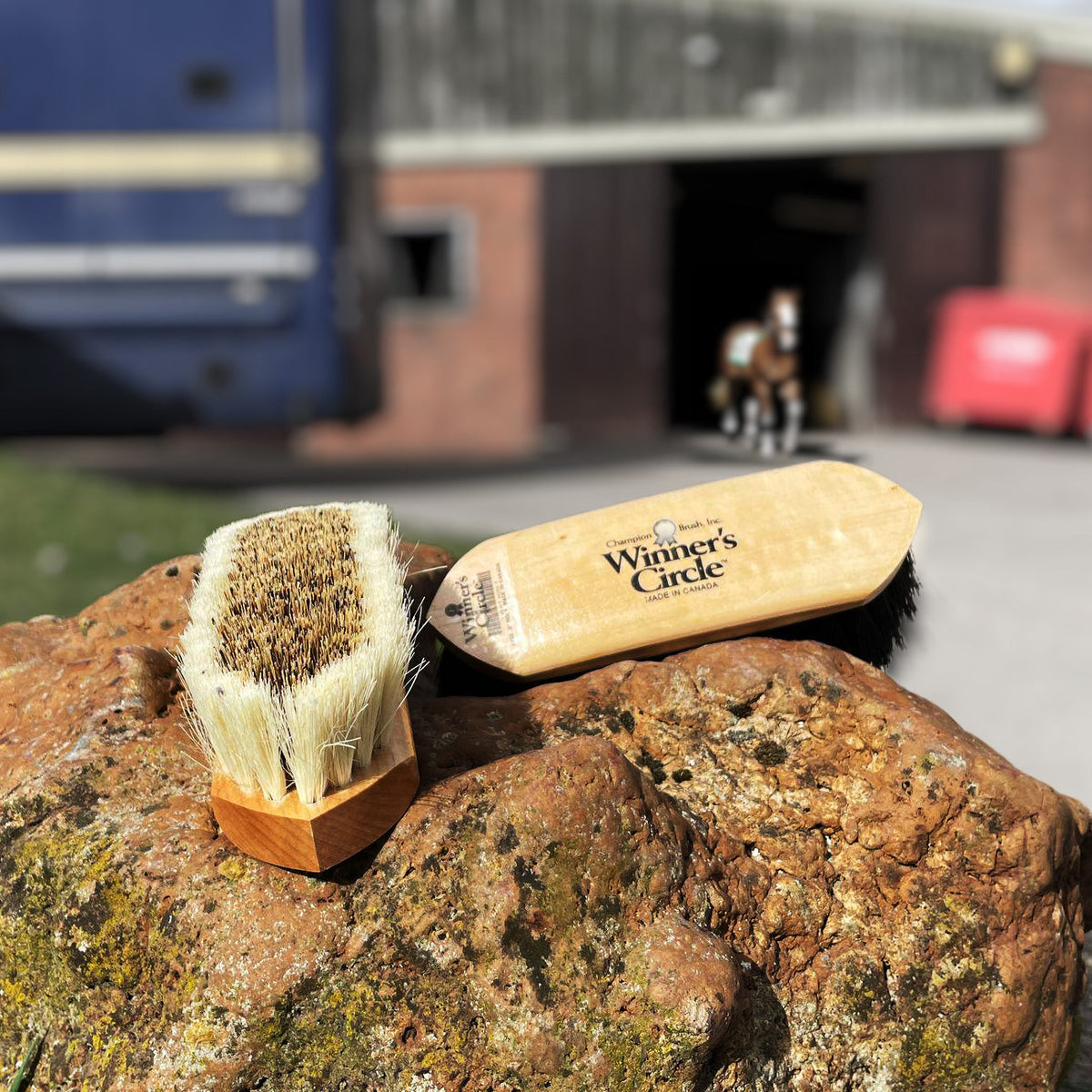 Champion Brush Returns to the UK | Winner’s Circle Grooming Brushes ...